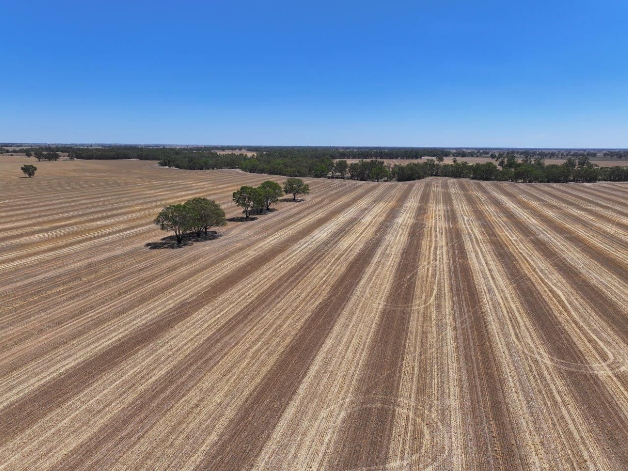 - Loddon West Road, Fiery Flat VIC 3518 - House for Sale | Domain