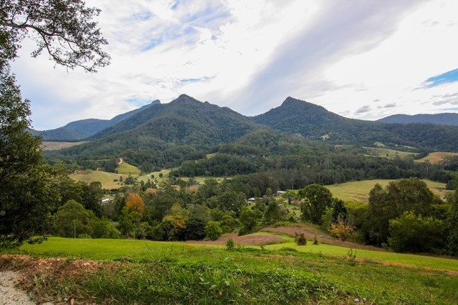 14 Rental Properties in Uki, NSW, 2484 | Domain