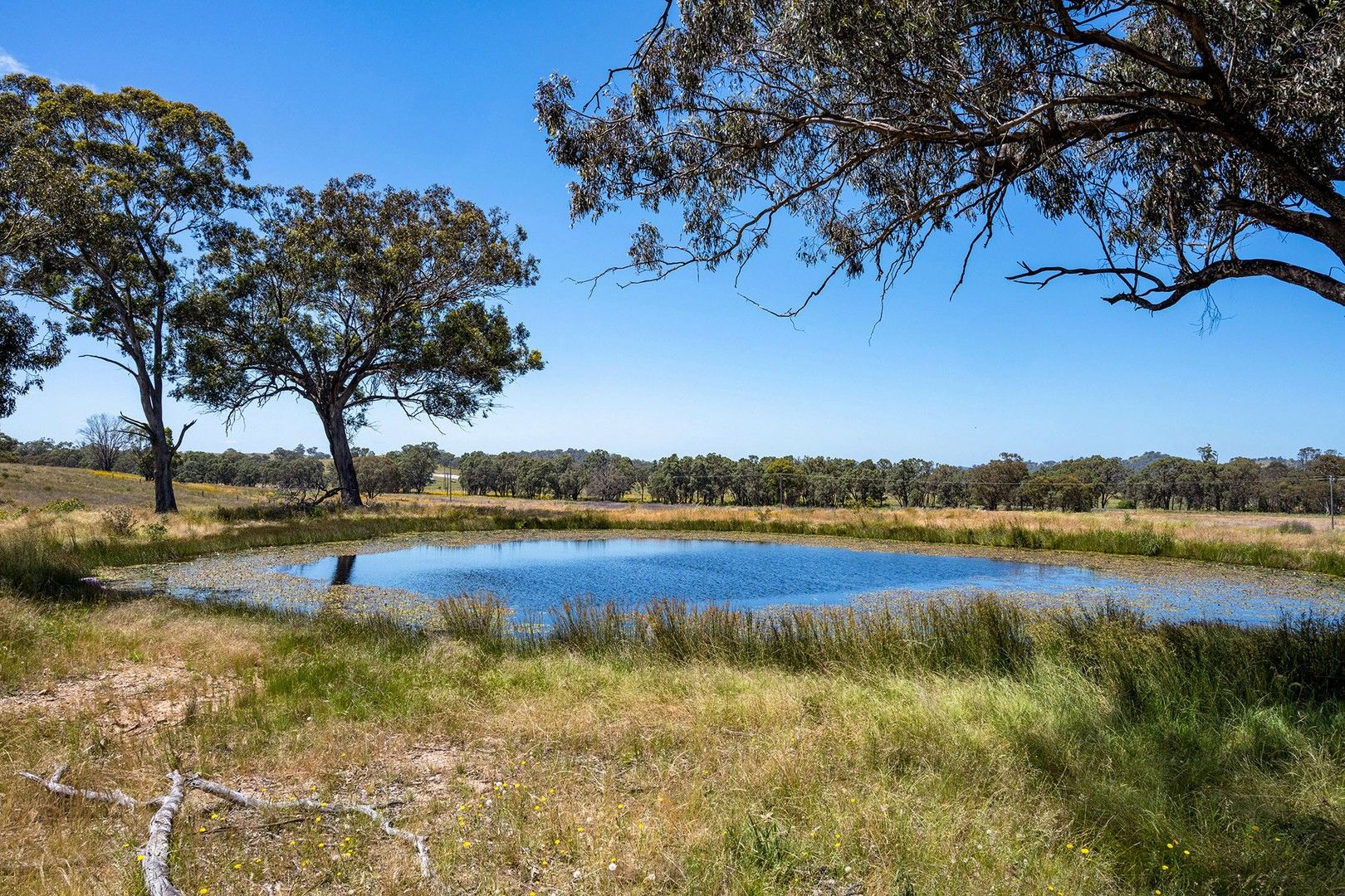 2804 Goolma Road, Goolma | Property History & Address Research | Domain