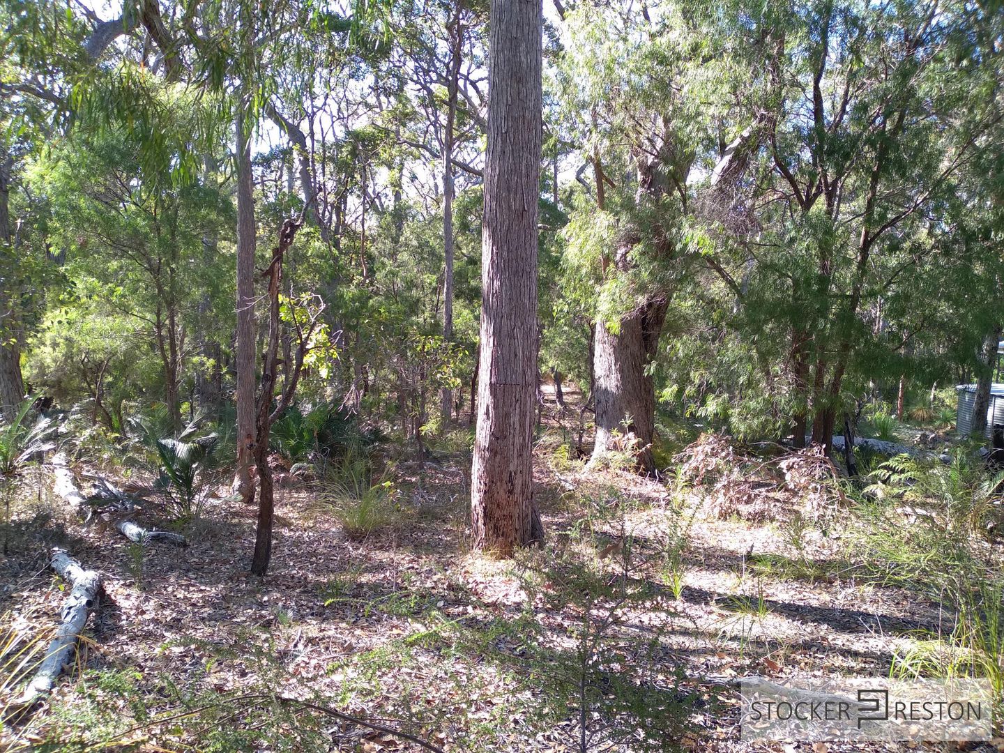 14 Hale Avenue, Molloy Island WA 6290 | Domain