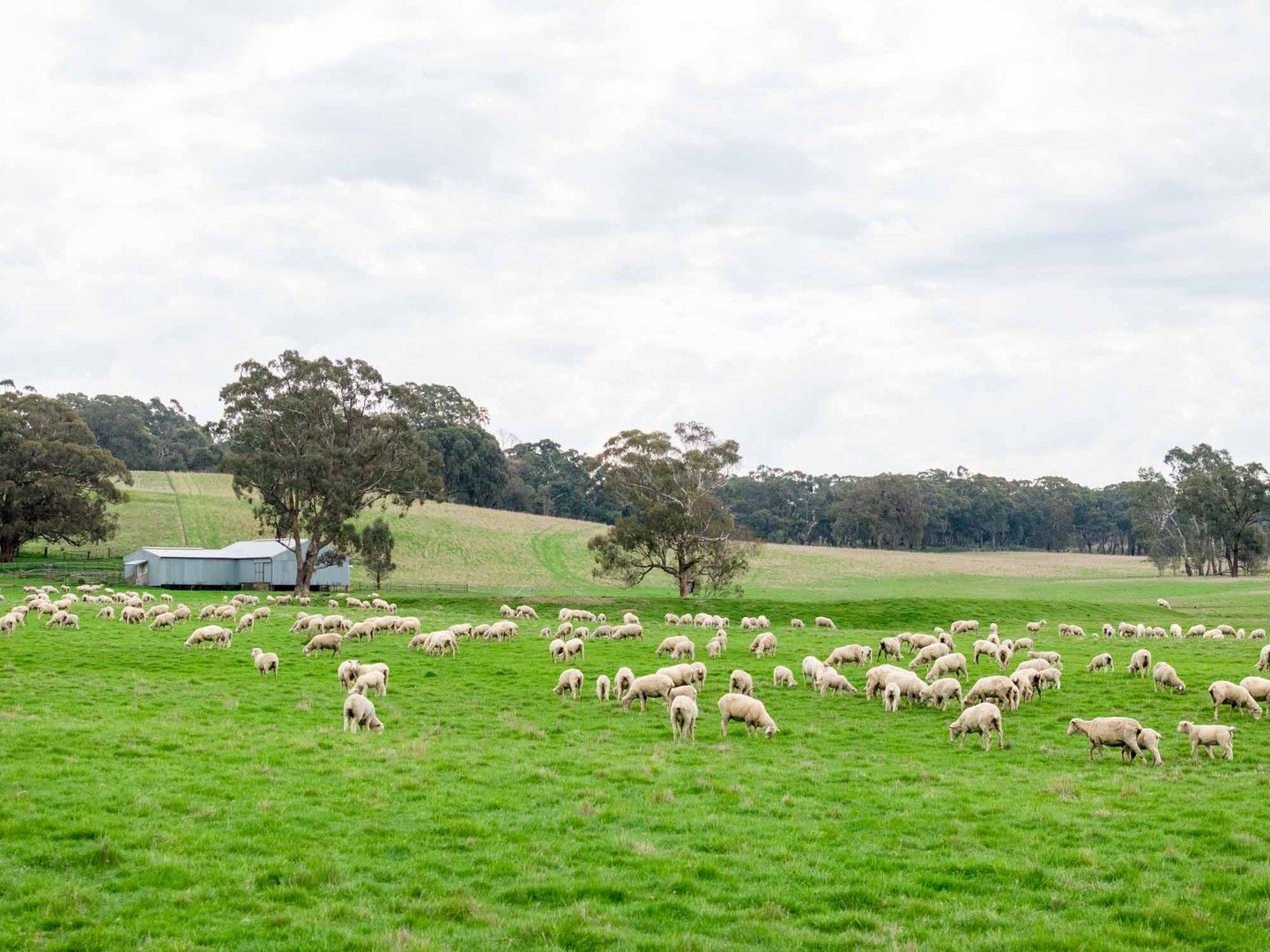 Goldfields Road, Barfold VIC 3444 - House for Sale | Domain