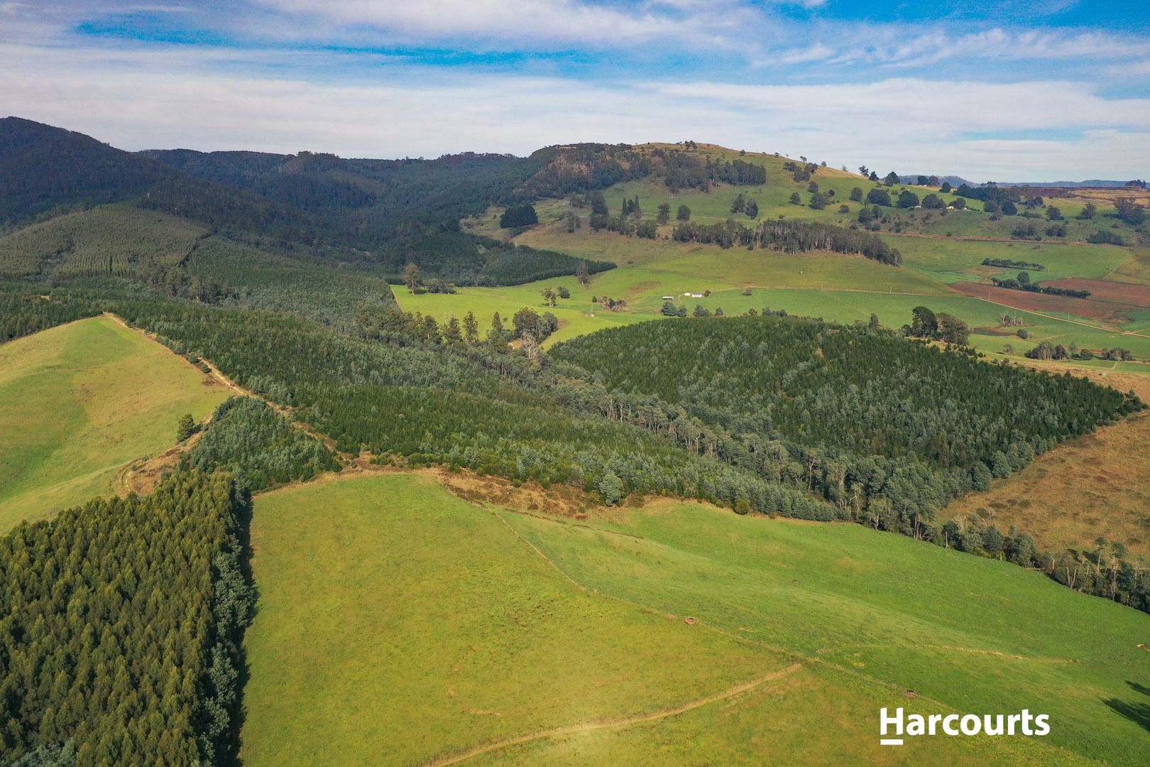 Lot 1 Pinega Road, Ringarooma TAS 7263 | Domain