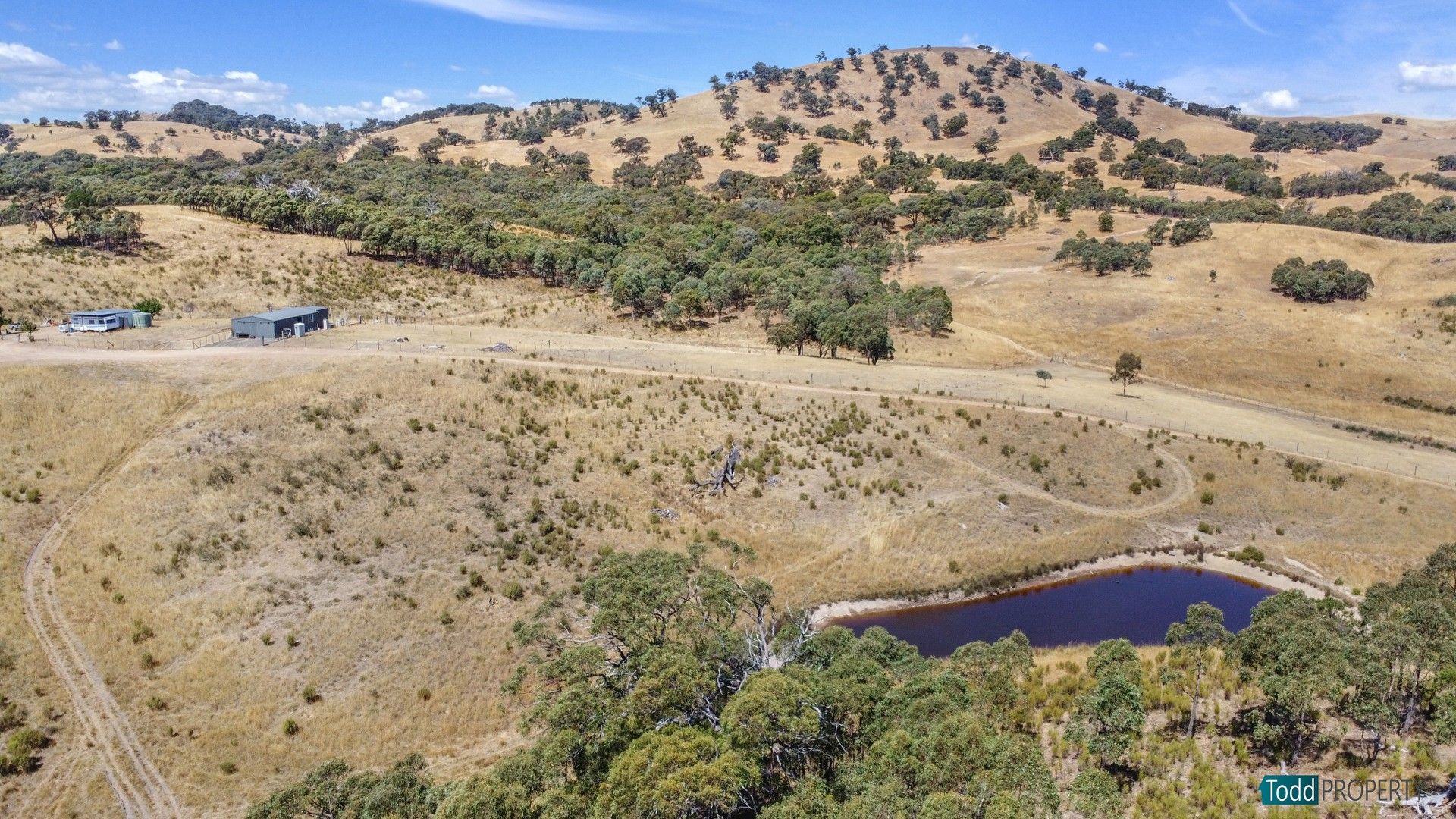 210 Hayes Gully Road, Tooborac VIC 3522 - House for Sale | Domain