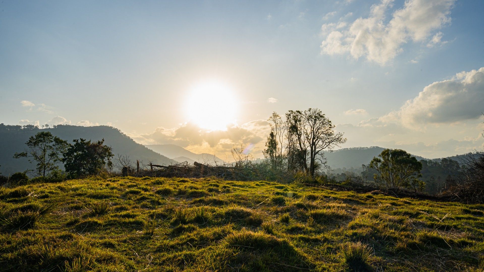 Mount Delaney QLD 4514 vacant land for Sale, $695,000 - 2018077694 | Domain