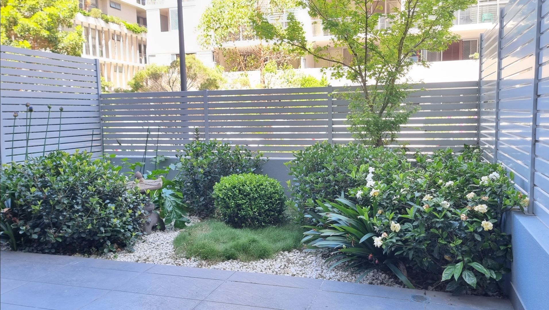 UNIT 10/5 BIDJIGAL ROAD, Arncliffe NSW 2205 - Apartment For Rent | Domain