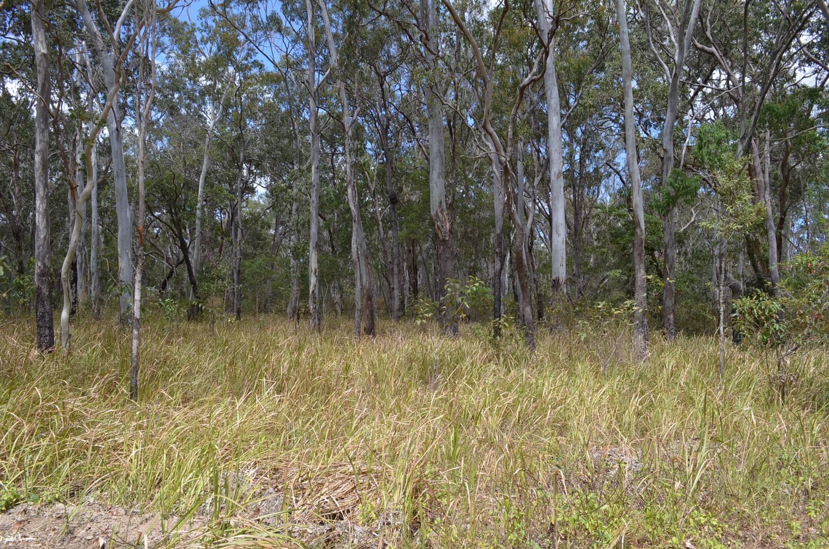 103/3609 Mulligan Highway, Mount Molloy QLD 4871 | Domain