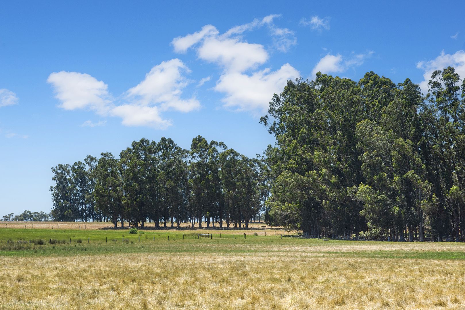 658 Manear Road, Rosa Glen WA 6285 - House for Sale | Domain