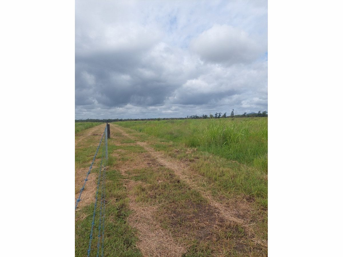 106 Woodford Road, Alton Downs QLD 4702 | Domain
