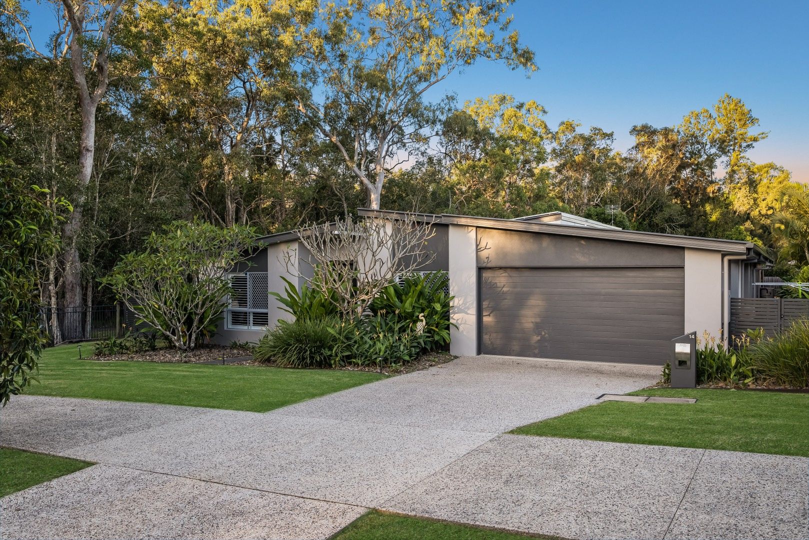 14 Whitebeech Street, Meridan Plains QLD 4551 | Domain