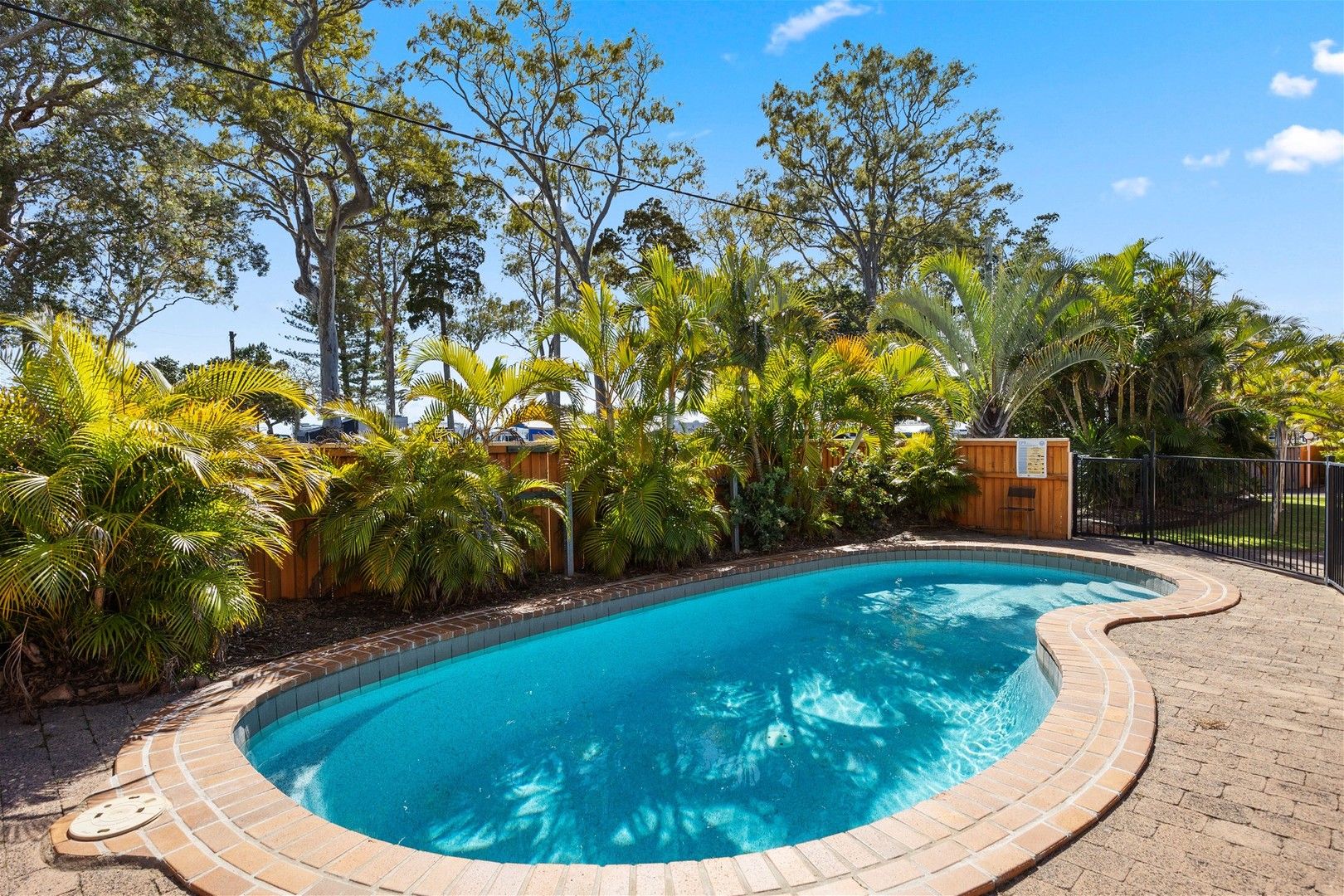 8/436 Charlton Esplanade, Torquay QLD 4655 | Domain