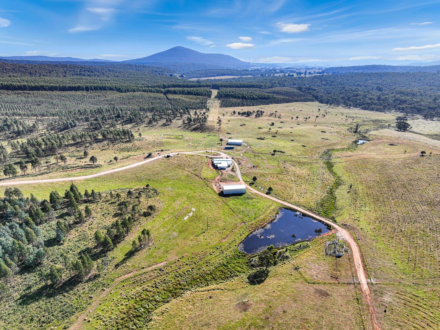 1458 Bendoc-Orbost Road, Bendoc VIC 3888 - House for Sale - $975,000