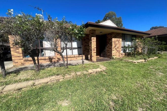 89 Rental Properties in Muswellbrook, NSW, 2333 | Domain