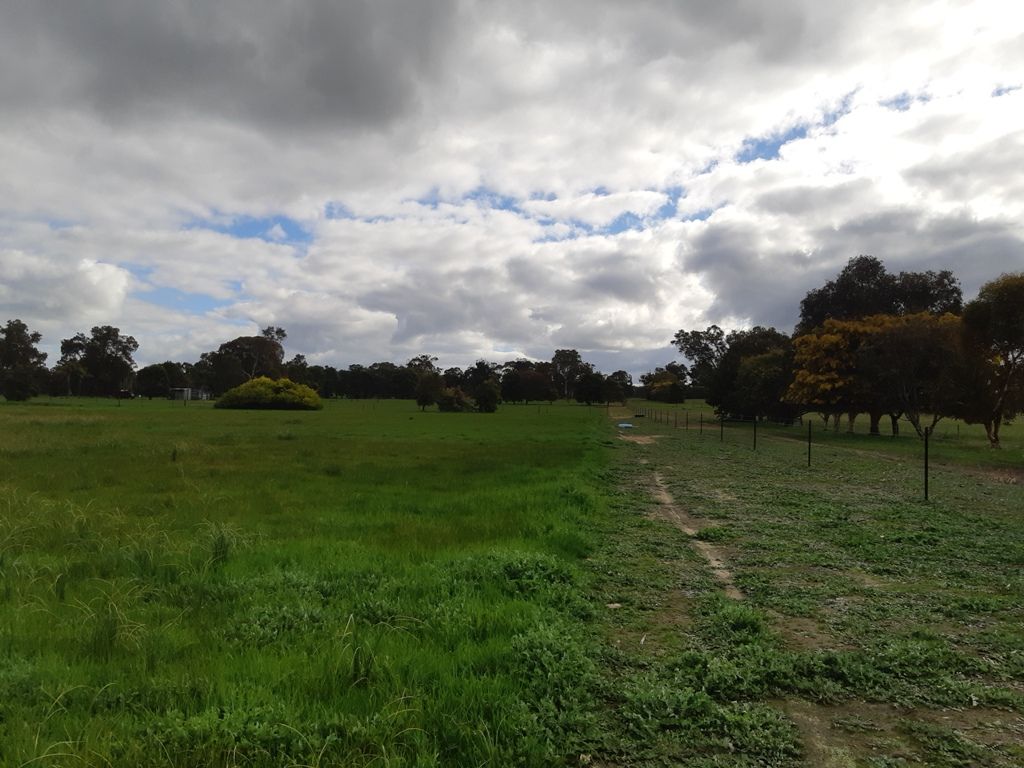 Sold 374 Chitty Road, Bakers Hill WA 6562 on 19 Oct 2020 - 2015567520 ...