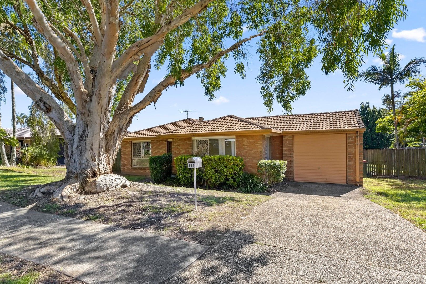 114 Delavan Street, Wishart QLD 4122 - House For Rent | Domain