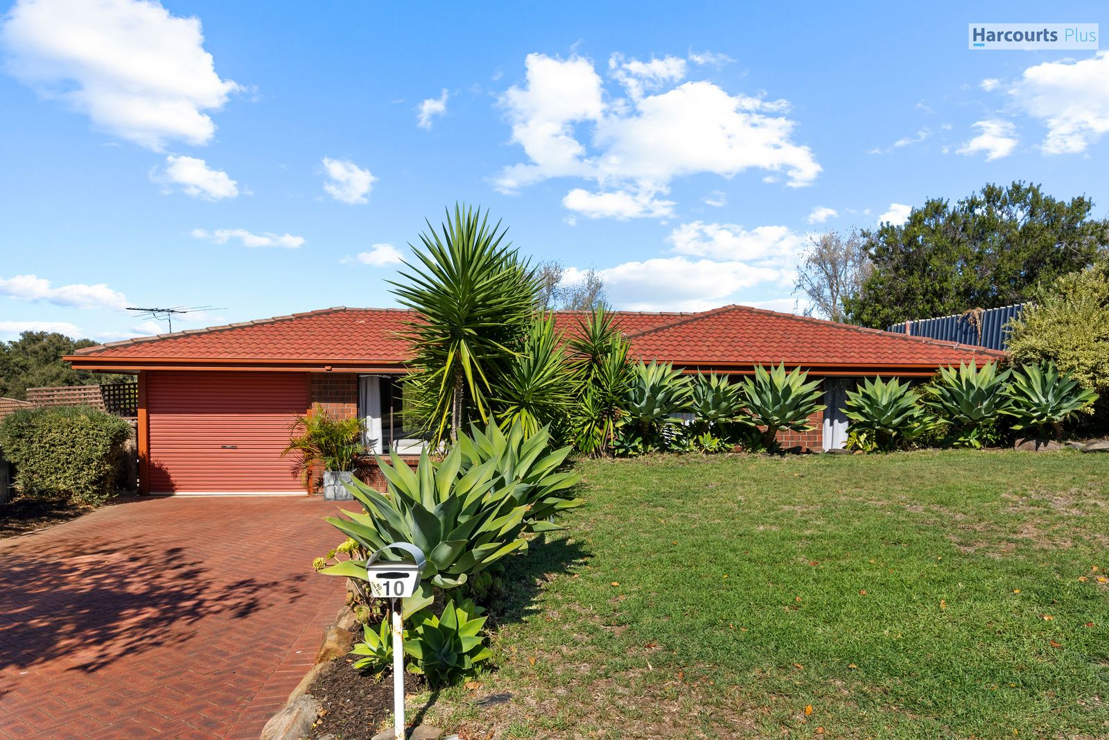 10 Lyons Circuit, Trott Park SA 5158 | Domain