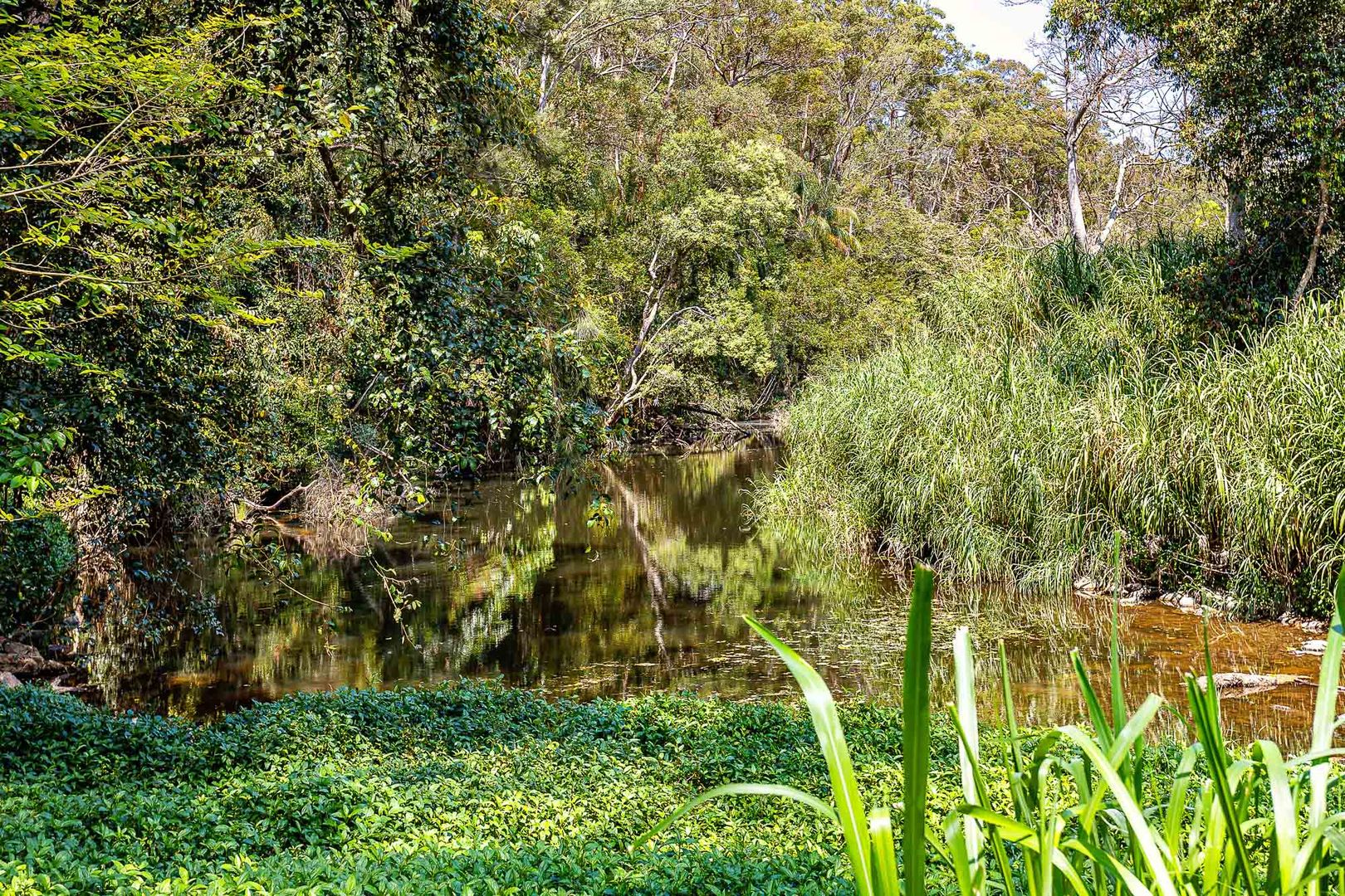 3 Mark Way, Mudgeeraba QLD 4213 | Domain