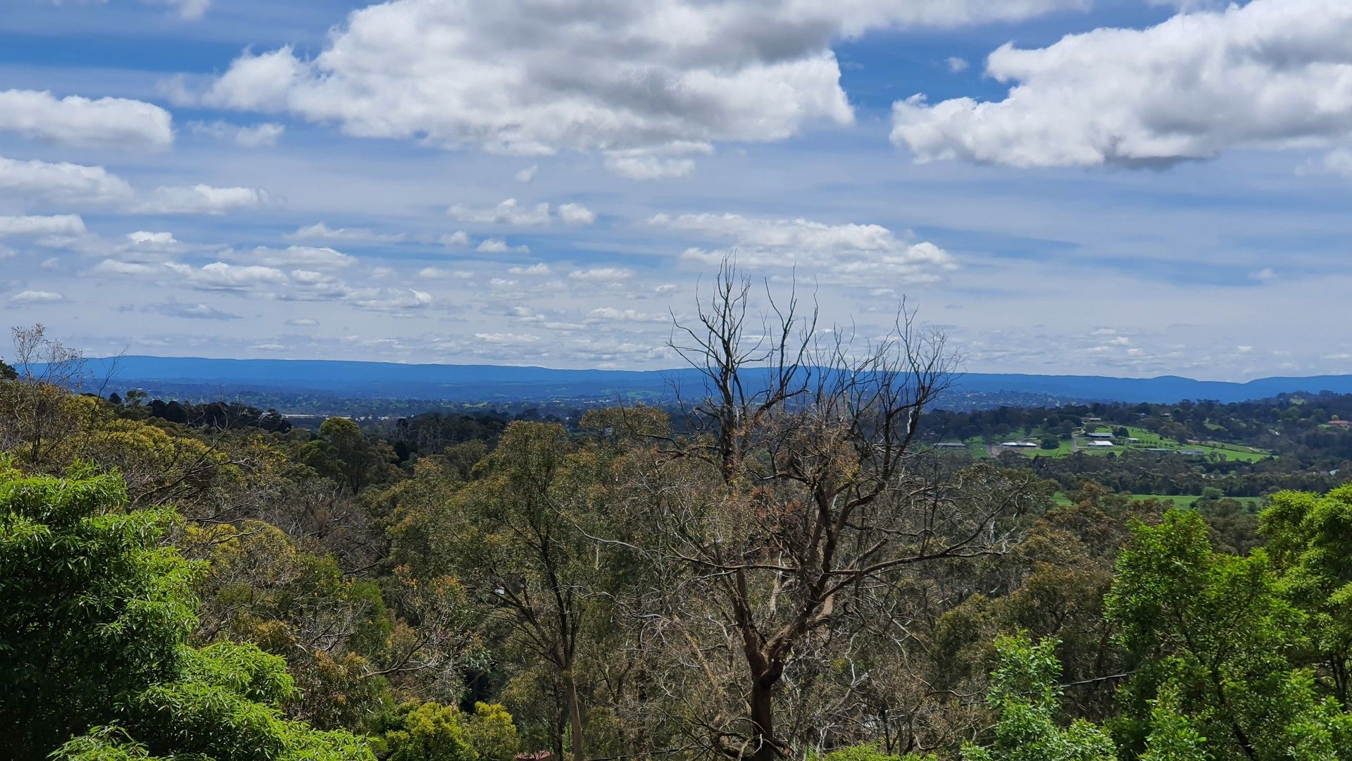 1368 Mountain Highway, The Basin VIC 3154 | Domain