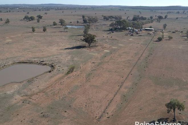 316 Real Estate Properties for Sale in Trundle, NSW, 2875 | Domain