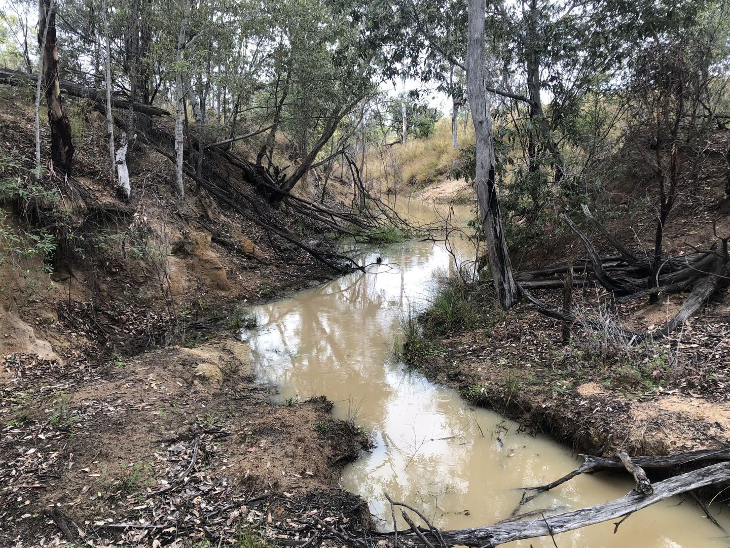 0/0 Shellytop Road, Durong QLD 4610 | Domain