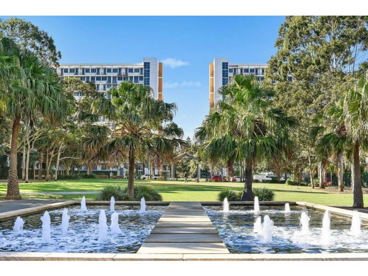 274/9 Crystal Street, Waterloo NSW 2017 - Apartment For Rent - $1,400 ...