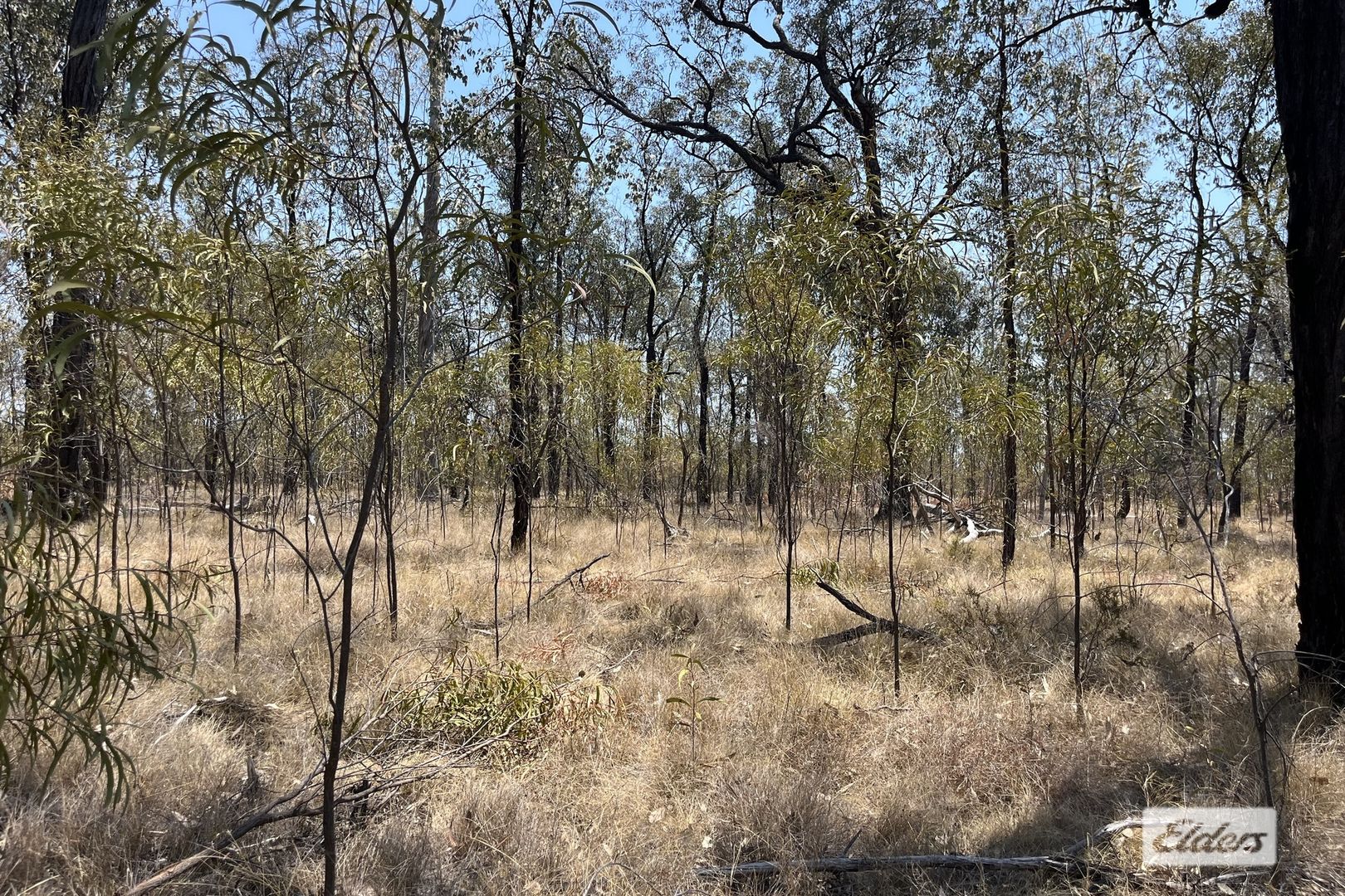 527 Barakula Road, Blackswamp QLD 4413 - House for Sale - $275,000