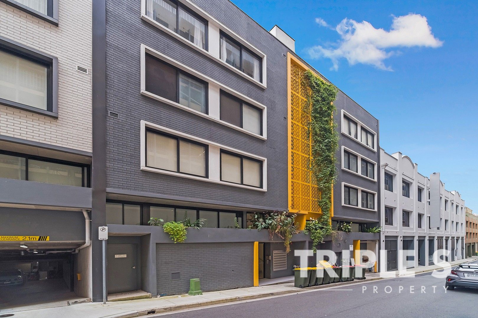 12/43-47 Greek Street, Glebe NSW 2037 | Domain