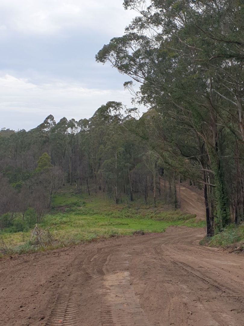 19, DP755939 Wandean Road, Wandandian NSW 2540 - Vacant Land for Sale